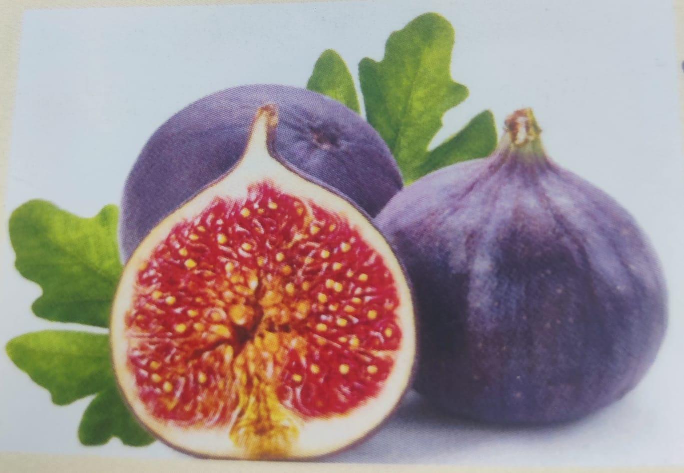 AGRICOS AGRO